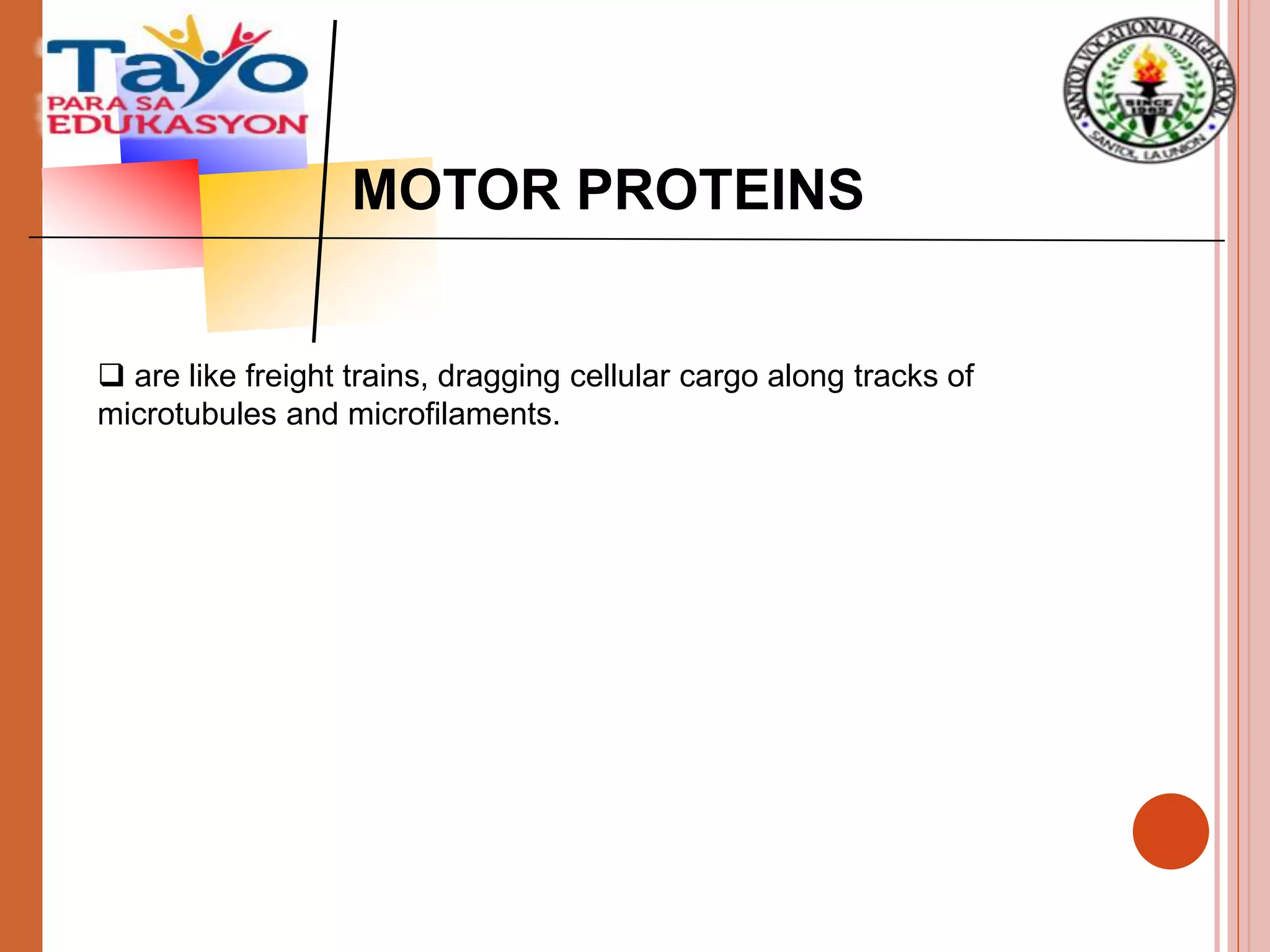 Earth and Life Science Grade 11 | PPTX