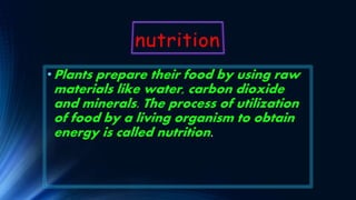 Nutrition in plant | PPTX