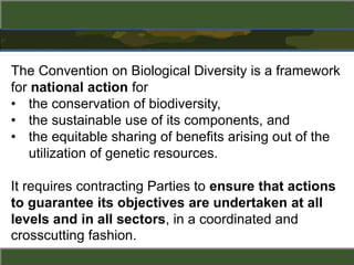 National Biodiversity Strategies and Action Plans – Overview in the ...