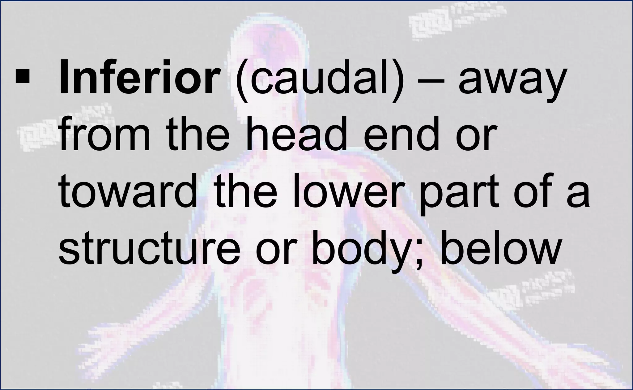 Aaa anatomy and physiology | PPTX