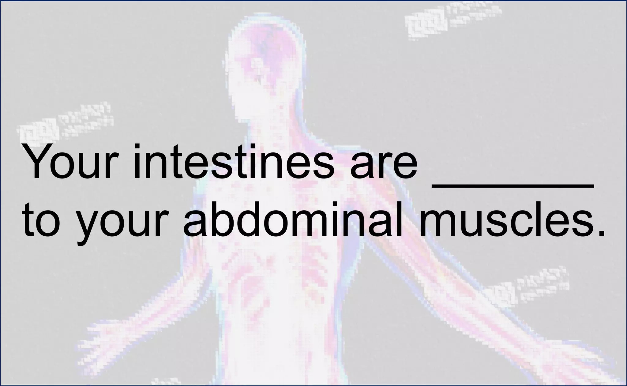 Aaa anatomy and physiology | PPTX