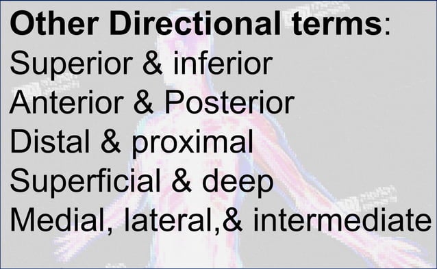 Aaa anatomy and physiology | PPTX