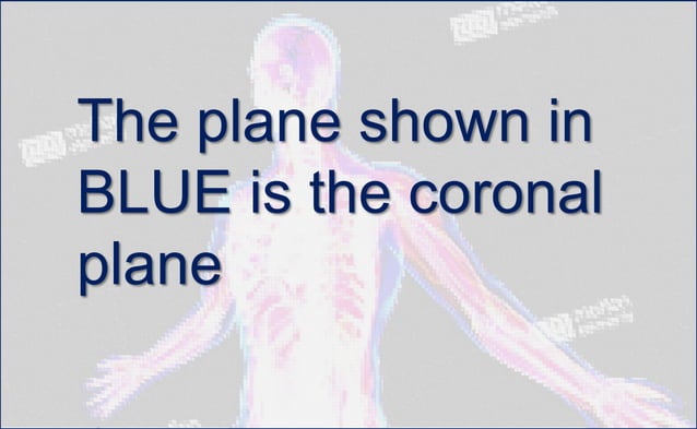 Aaa anatomy and physiology | PPTX