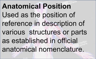 Aaa anatomy and physiology | PPTX