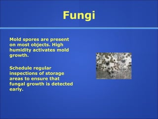 Collection Care III: Fungi, Pests, Pollutants | PPT