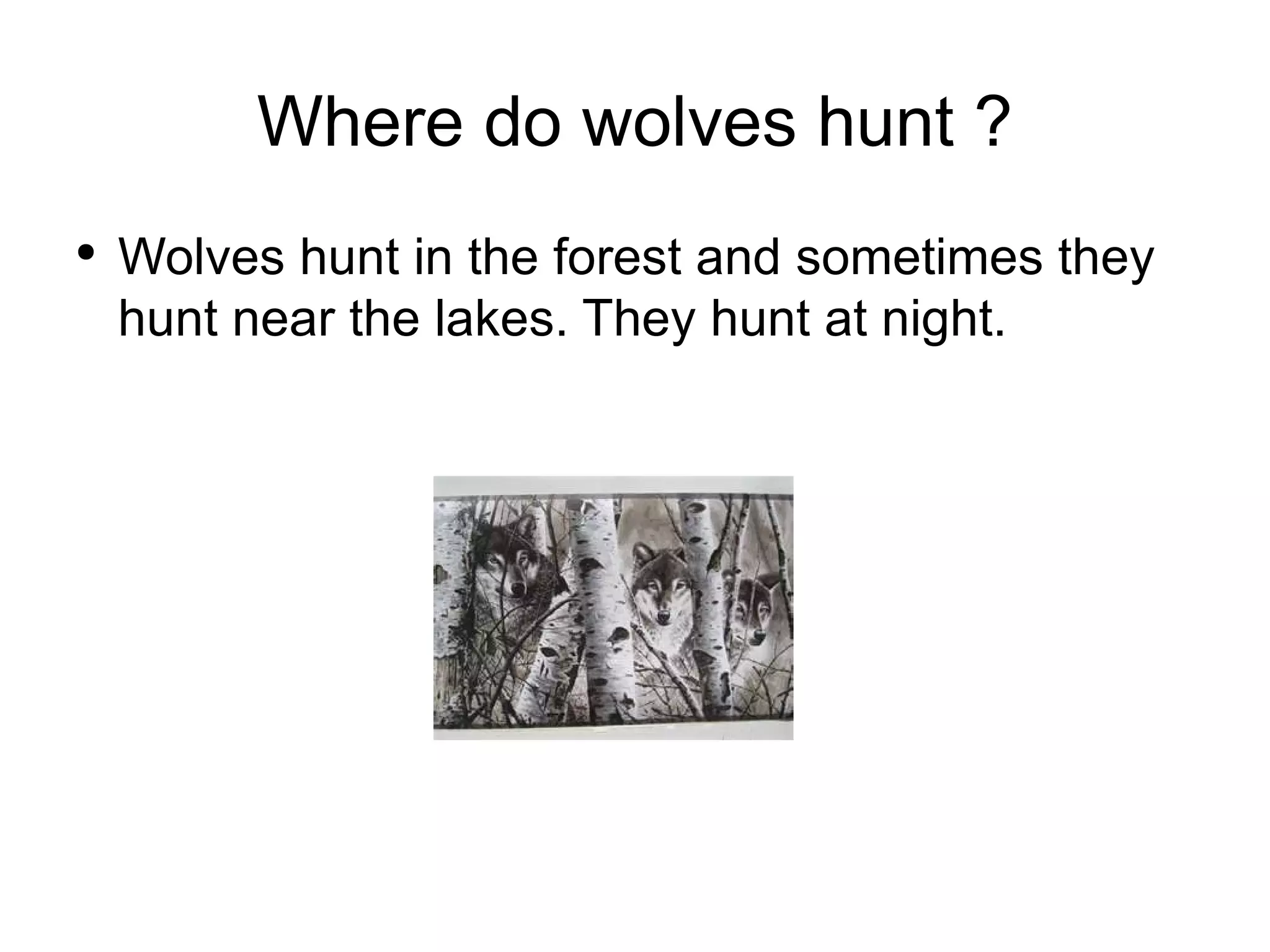 Research about Wolves | ODP