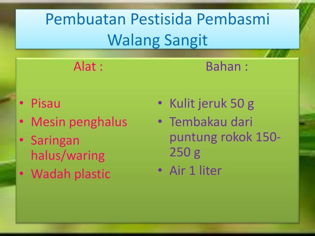 Pestisida Alami dan Cara Pembuatannya | PPTX