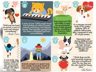 40 Benefits of Having a Pet | PPT