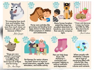 40 Benefits of Having a Pet | PPT
