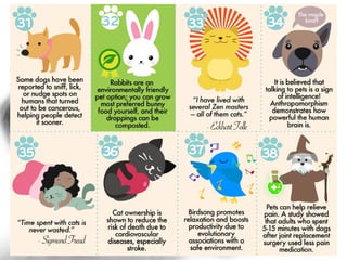 40 Benefits of Having a Pet | PPT