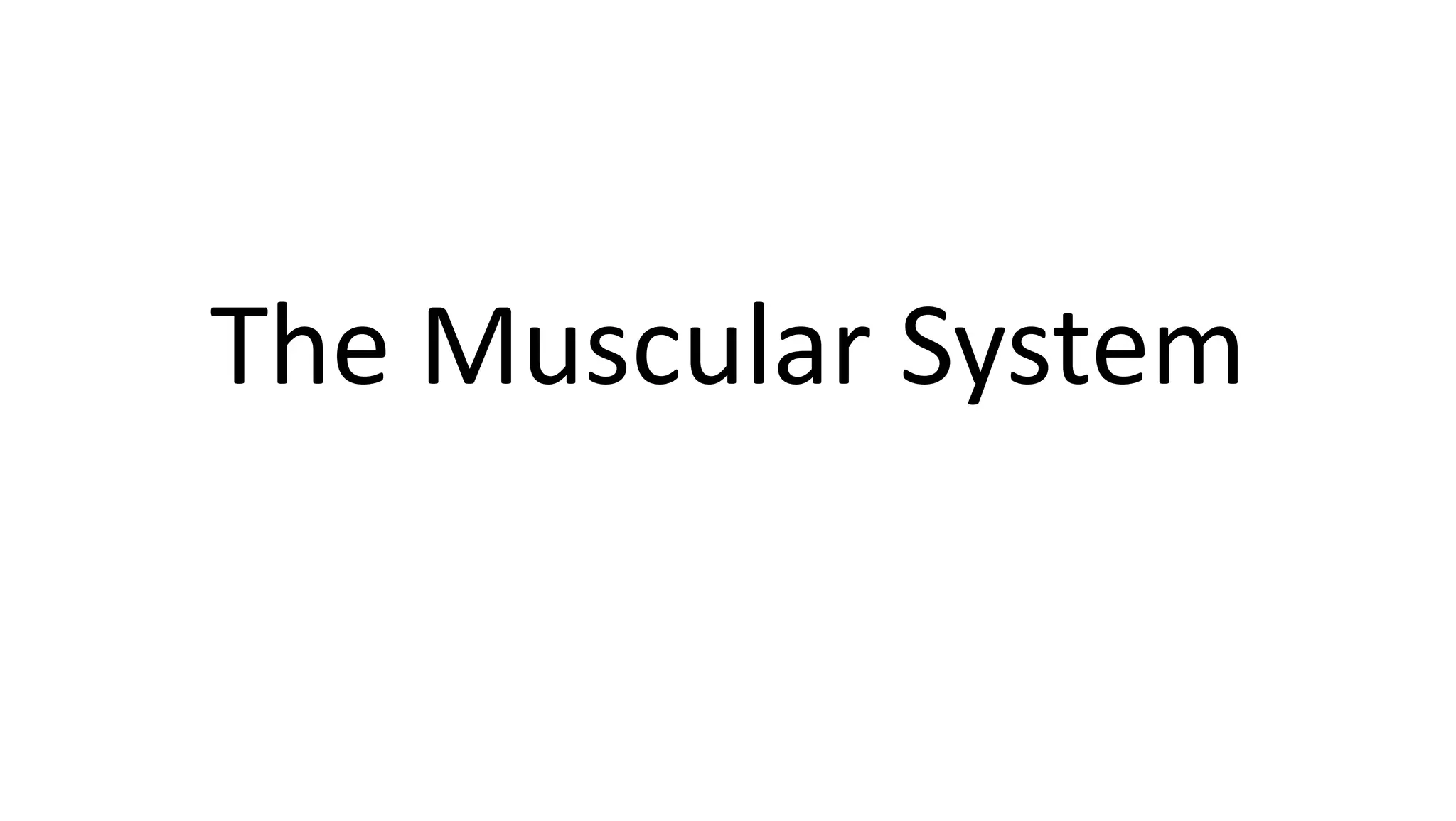 Aaa stem muscular system power point | PPTX
