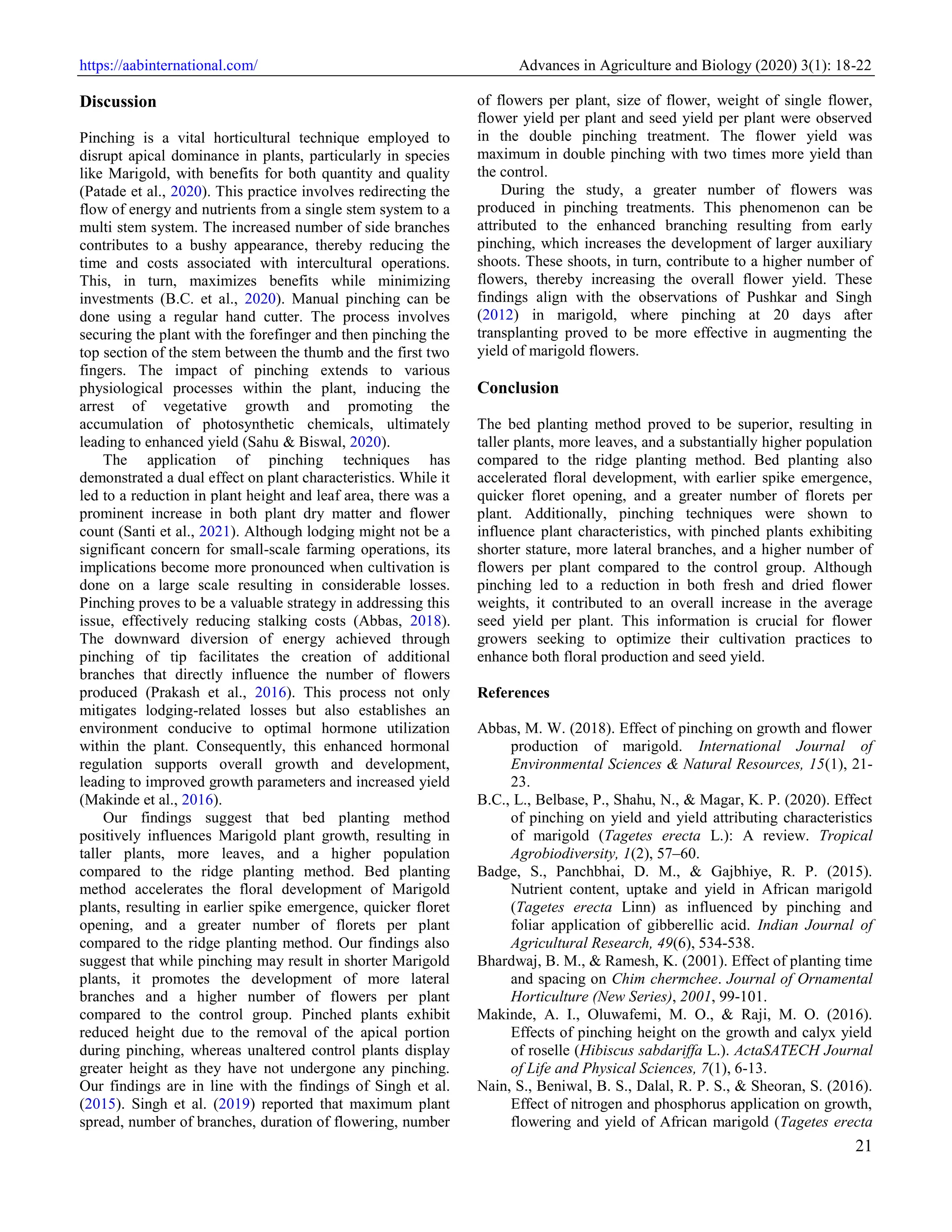 Effect of planting methods and pinching techniques on the growth ...