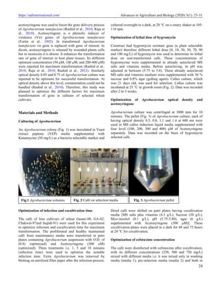 Optimization of factors affecting callus-based gene transformation by ...