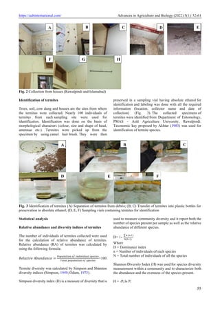A preliminary study on the diversity of termites in twin cities ...