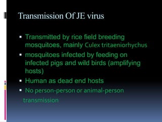 JAPANESE ENCEPHALITIS | PPT