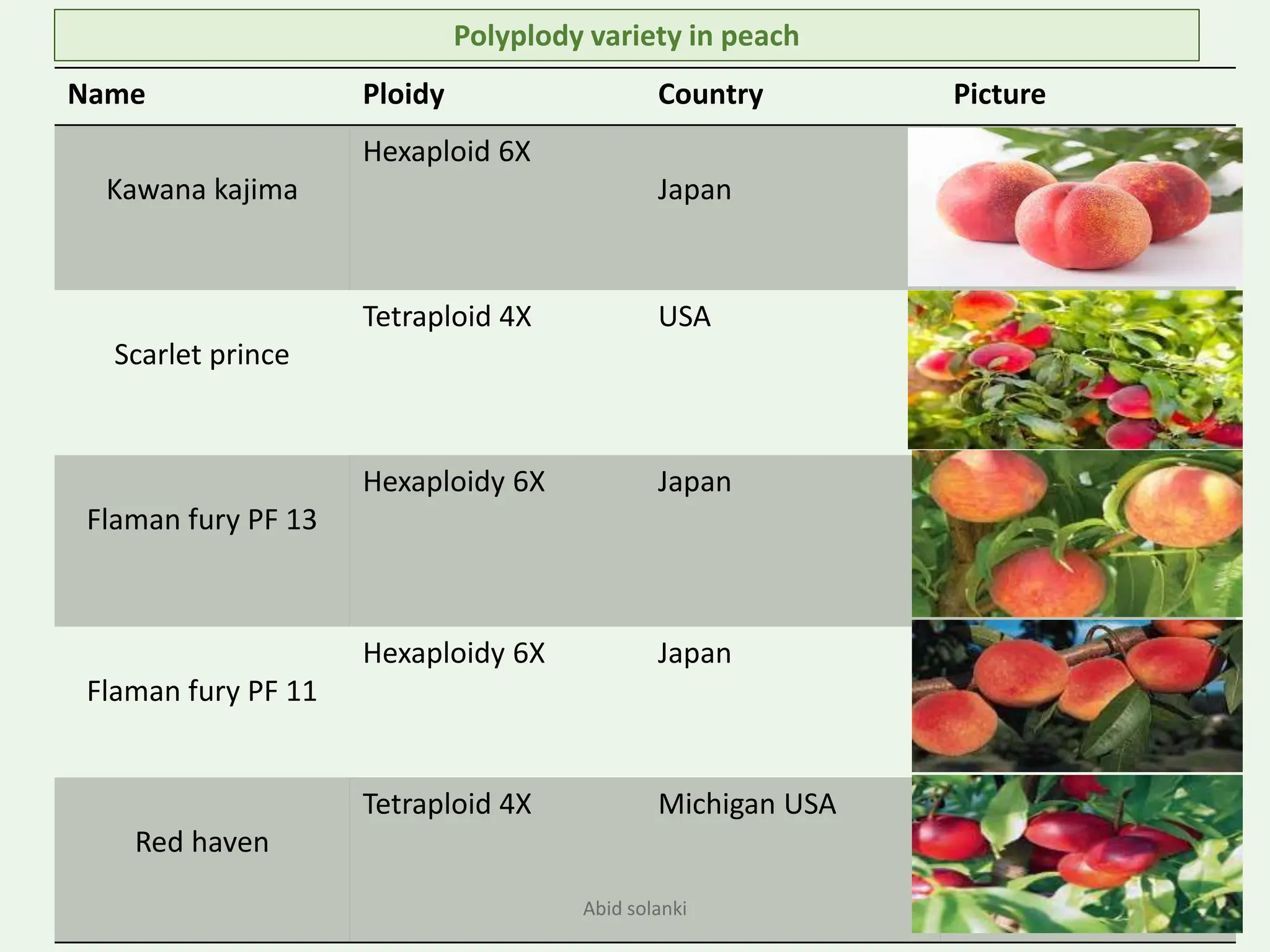 Crop improvement by mutation breeding, polyploidy breeding & rootstock ...