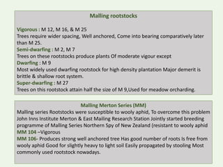 Crop improvement by mutation breeding, polyploidy breeding & rootstock ...