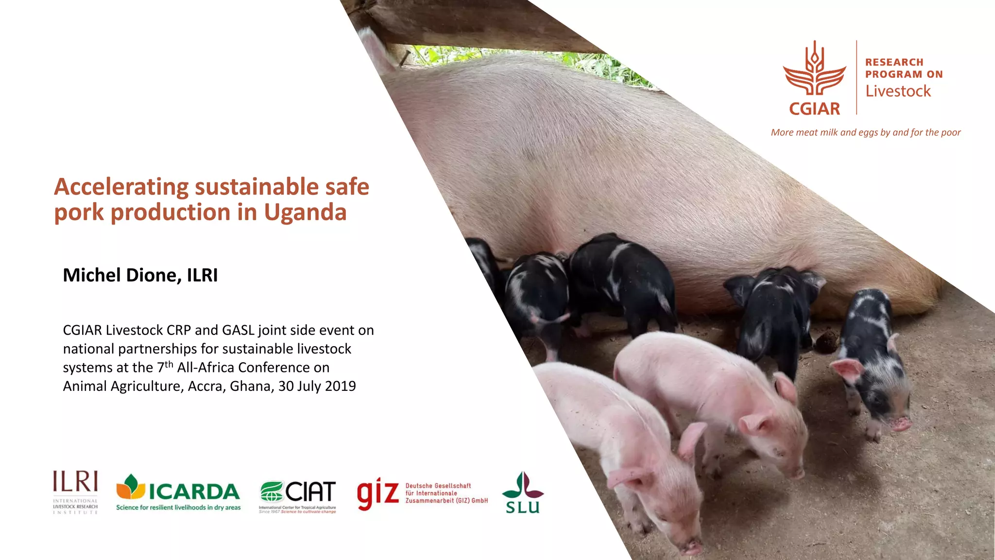 Accelerating sustainable safe pork production in Uganda | PPT