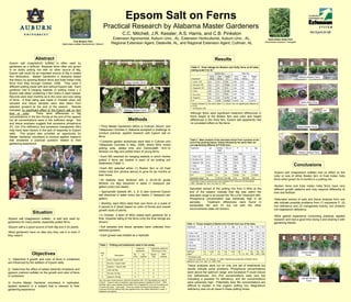 Epsom Salt on Ferns | PDF