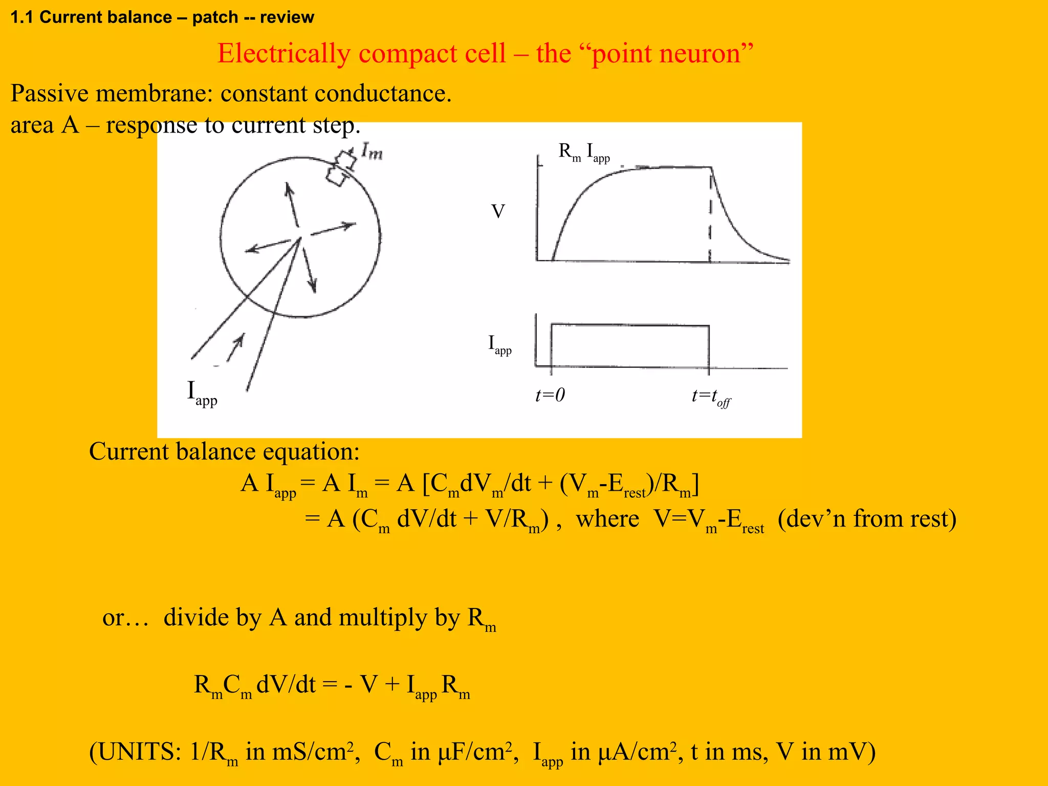 Hodgkin-Huxley & the nonlinear dynamics of neuronal excitability | PPT