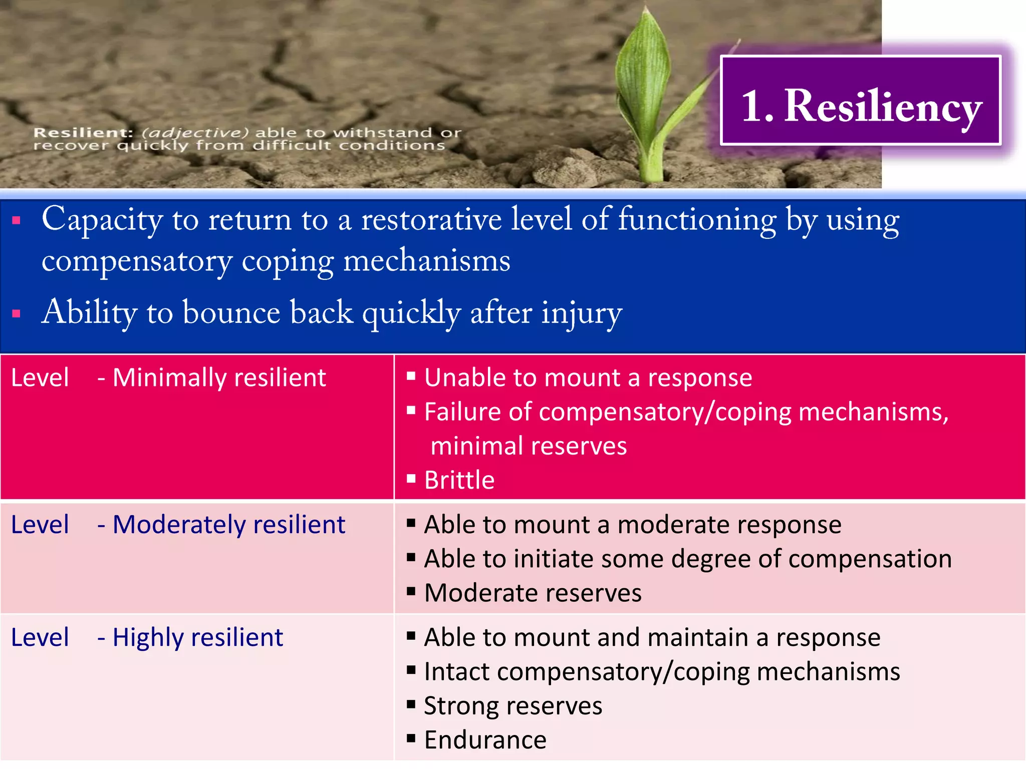 Aacn synergy model for patient care | PPTX