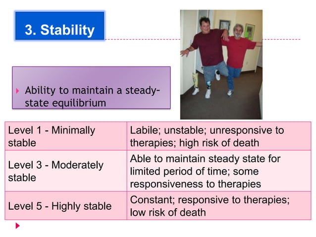 Aacn synergy model for patient care | PPTX | Eldercare | Family and ...