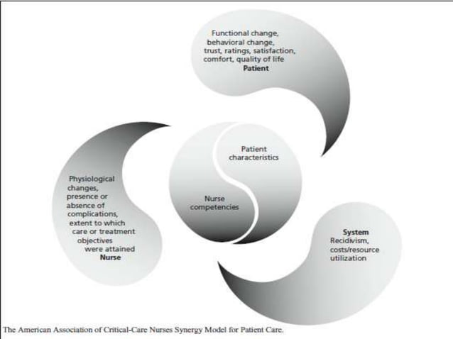 Aacn synergy model for patient care | PPTX | Eldercare | Family and ...