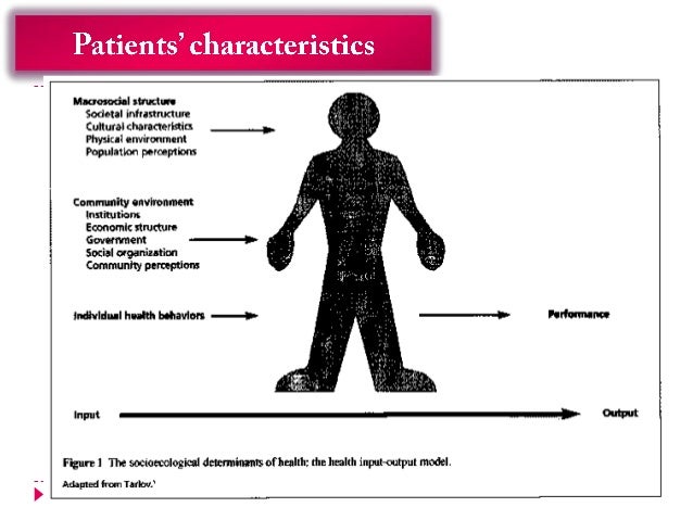 Aacn synergy model for patient care