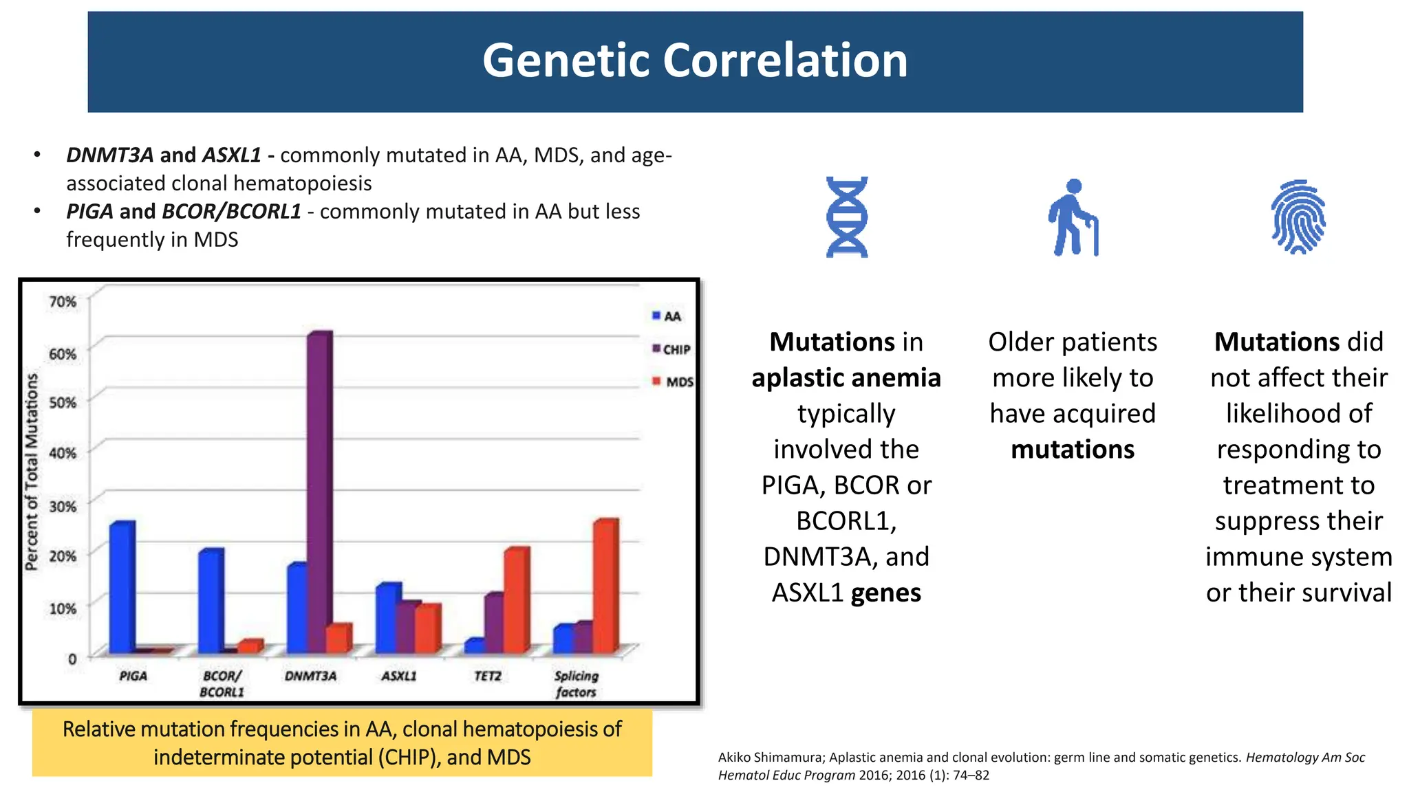 Aplastic Anemia- A comprehensive approach 2024.pptx