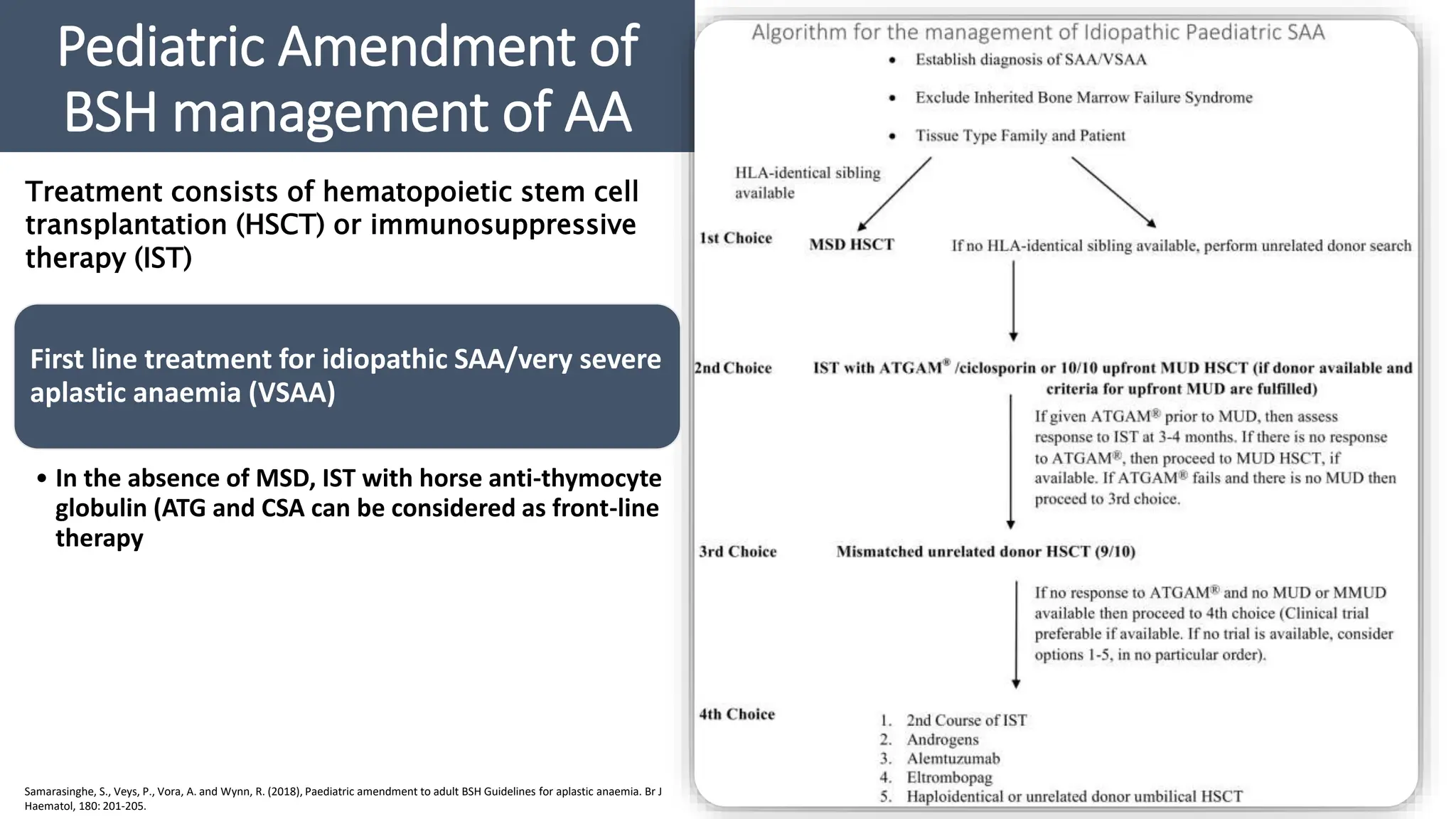 Aplastic Anemia- A comprehensive approach 2024.pptx