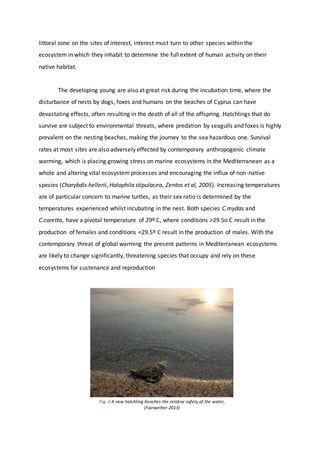 Cyprus Prospectus 29.1 | PDF