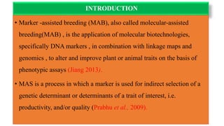 Marker assisted selection in fruit crops | PPTX