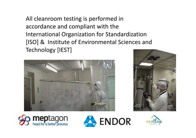 ENDOR SYSTEMS 2009 LTD | PPT