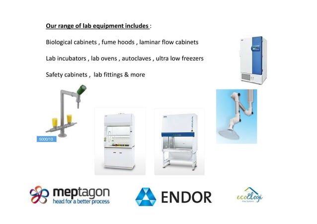 ENDOR SYSTEMS 2009 LTD | PPT