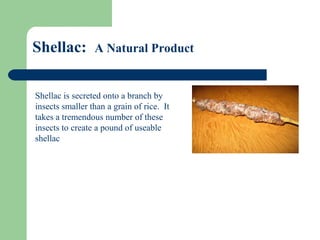 Aadhya shellac presentation | PPT