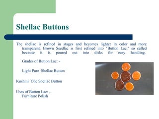 Aadhya shellac presentation | PPT | Chemistry | Science