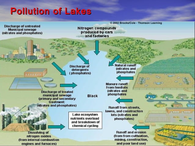 water and water pollution | PPT | Environmental Services Industry ...