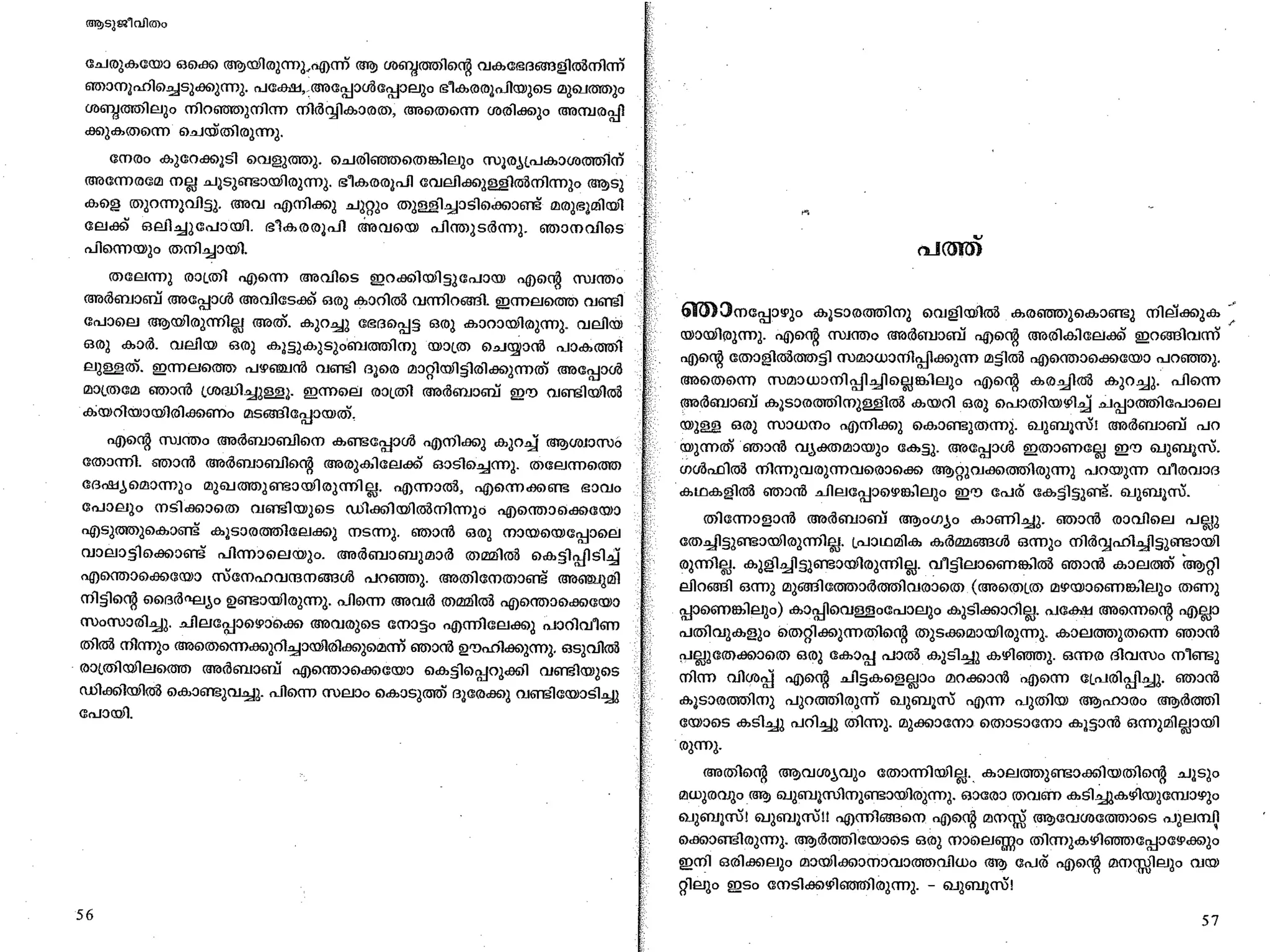 Aadujeevitham by-benyamin | PDF