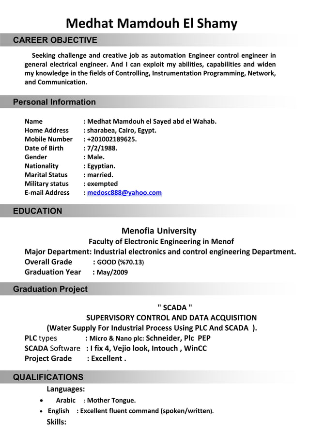 medhat cv 2 | PDF | Business Utilities | Business