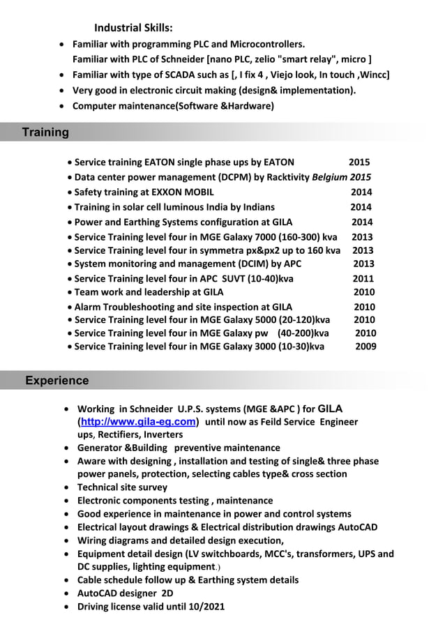medhat cv 2 | PDF | Business Utilities | Business