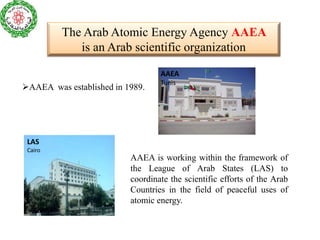 AAEA presentation.ppt