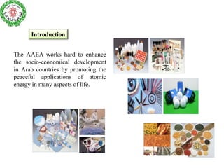 AAEA presentation.ppt