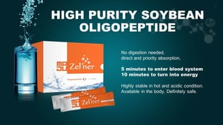 Zelner | PPT