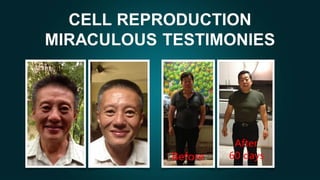 Zelner | PPT