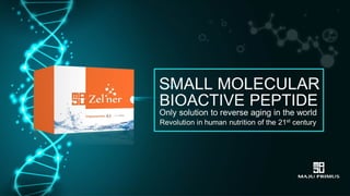 Zelner | PPT