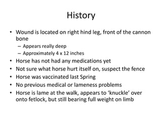 Case Study - Cannon Bone Laceration | PPTX