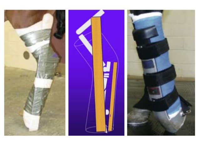 Case Study - Cannon Bone Laceration