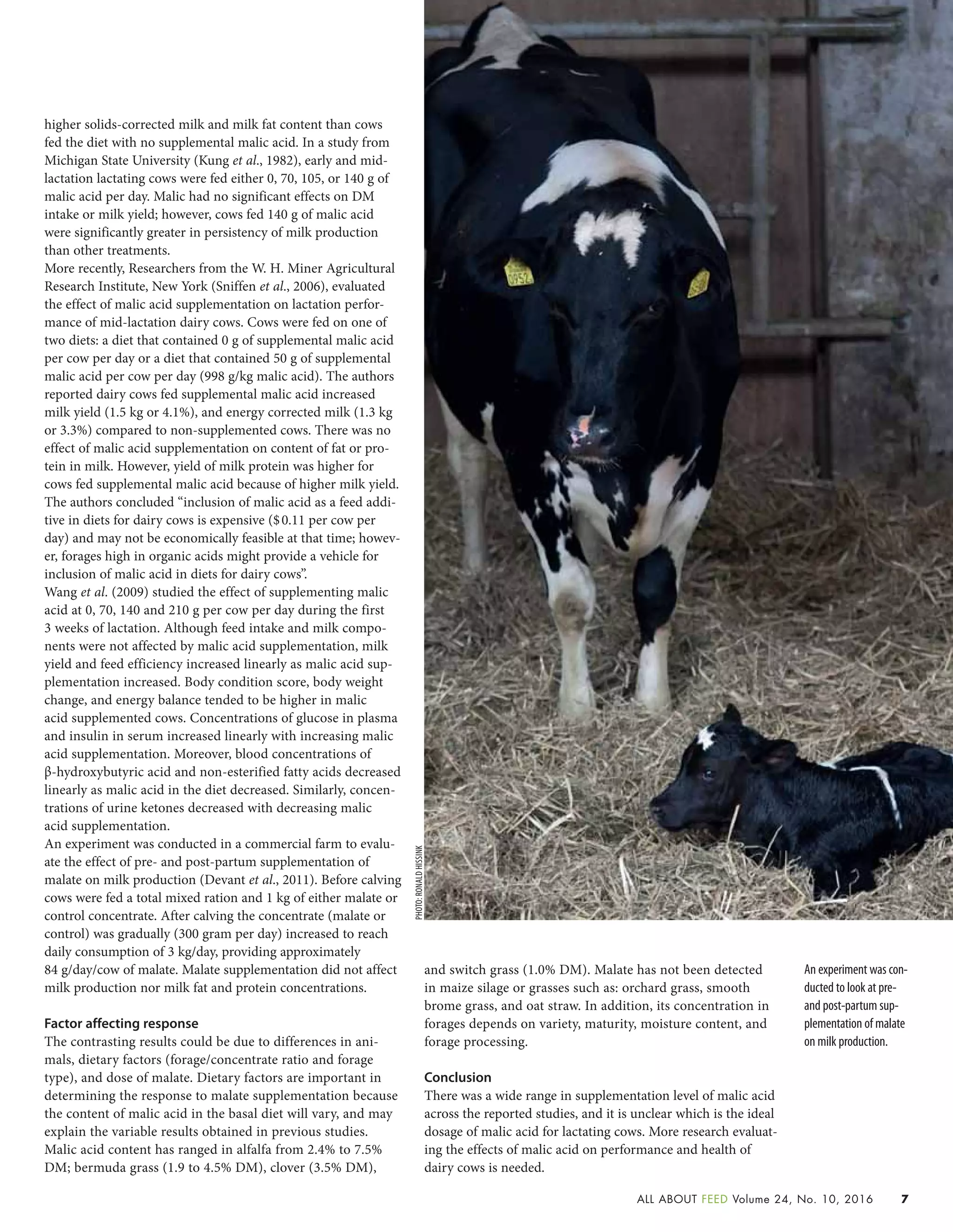 Effect of malic acid in dairy cow diets | PDF | Vegan Diets | Food & Drink