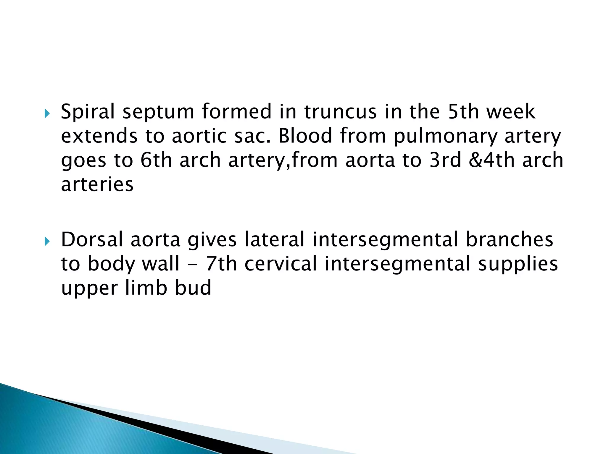 Aortic arch final.ppt