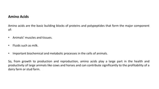 AA for Animals.pptx